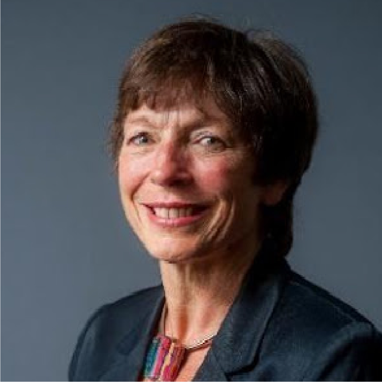 Jane Davidson - School of International Futures